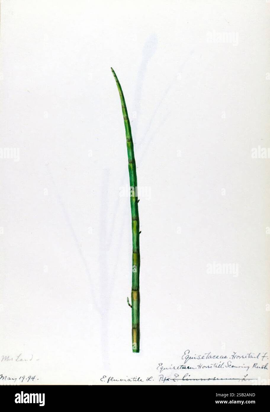 Faint handwritten notes hi-res stock photography and images - Alamy