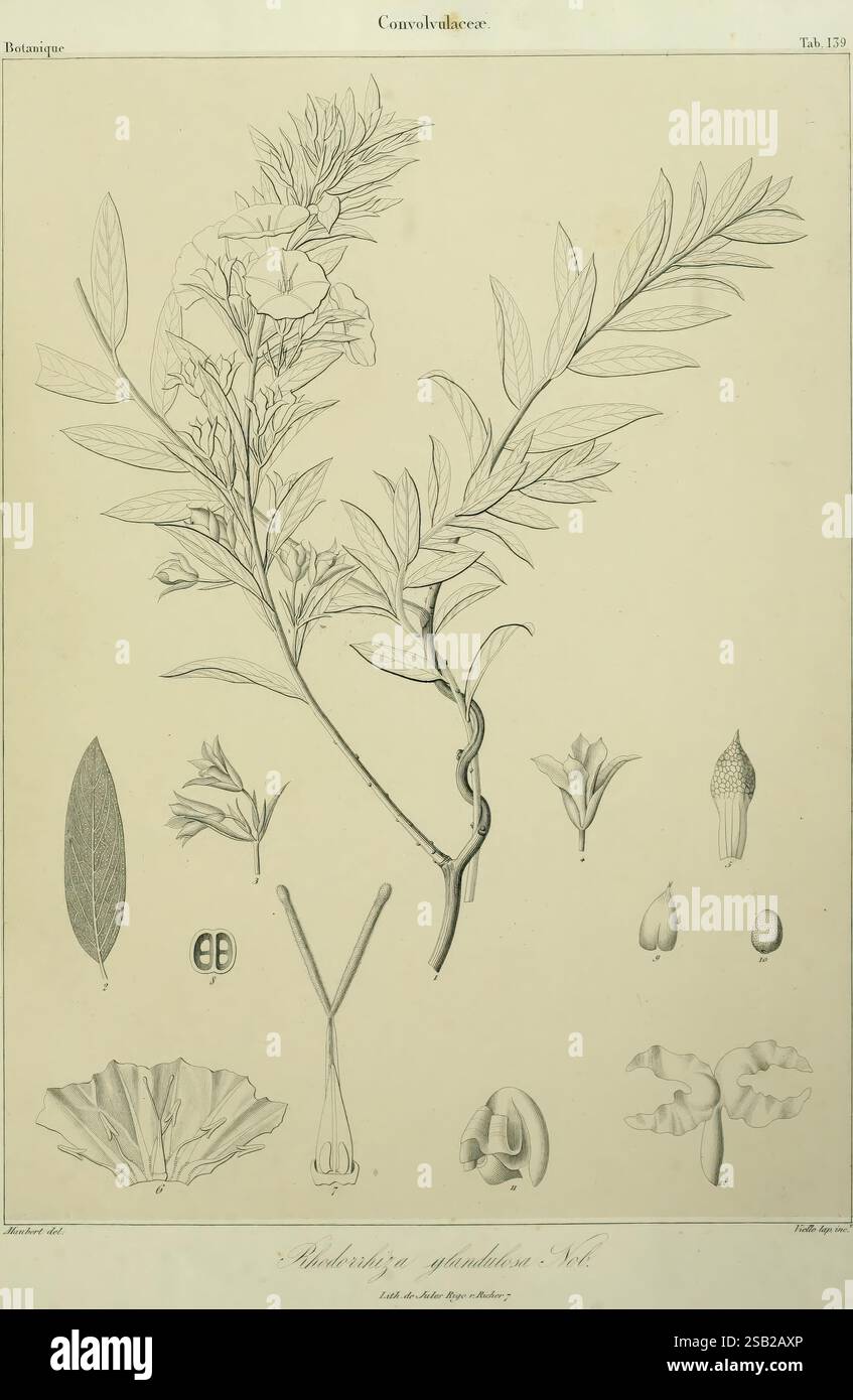 Central plant depicts hi-res stock photography and images - Alamy