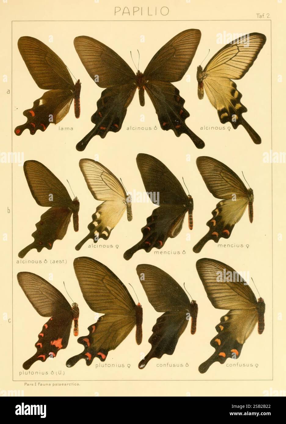 Black markings labeled hi-res stock photography and images - Alamy