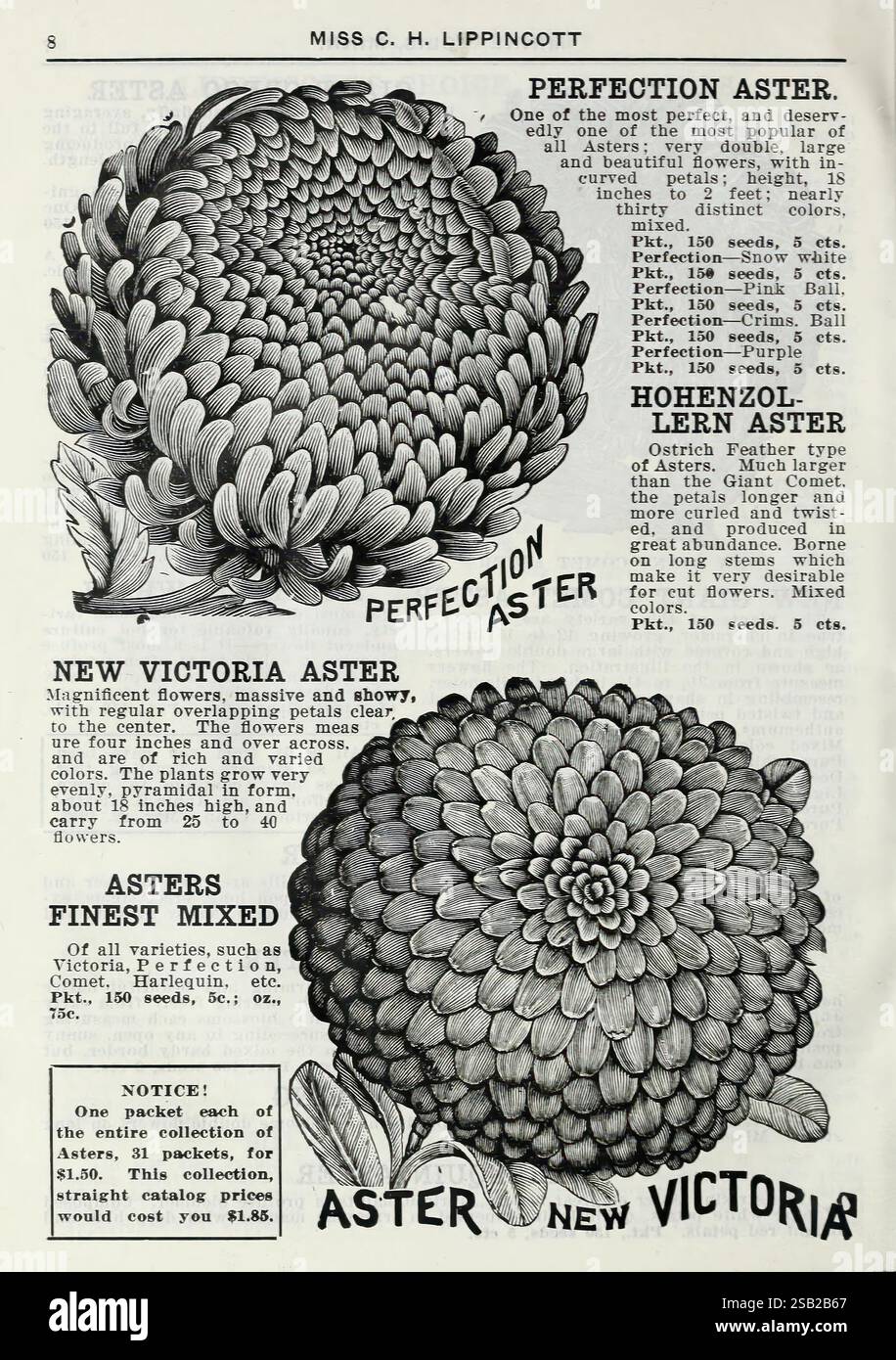 Illustration showcases three varieties hi-res stock photography and ...