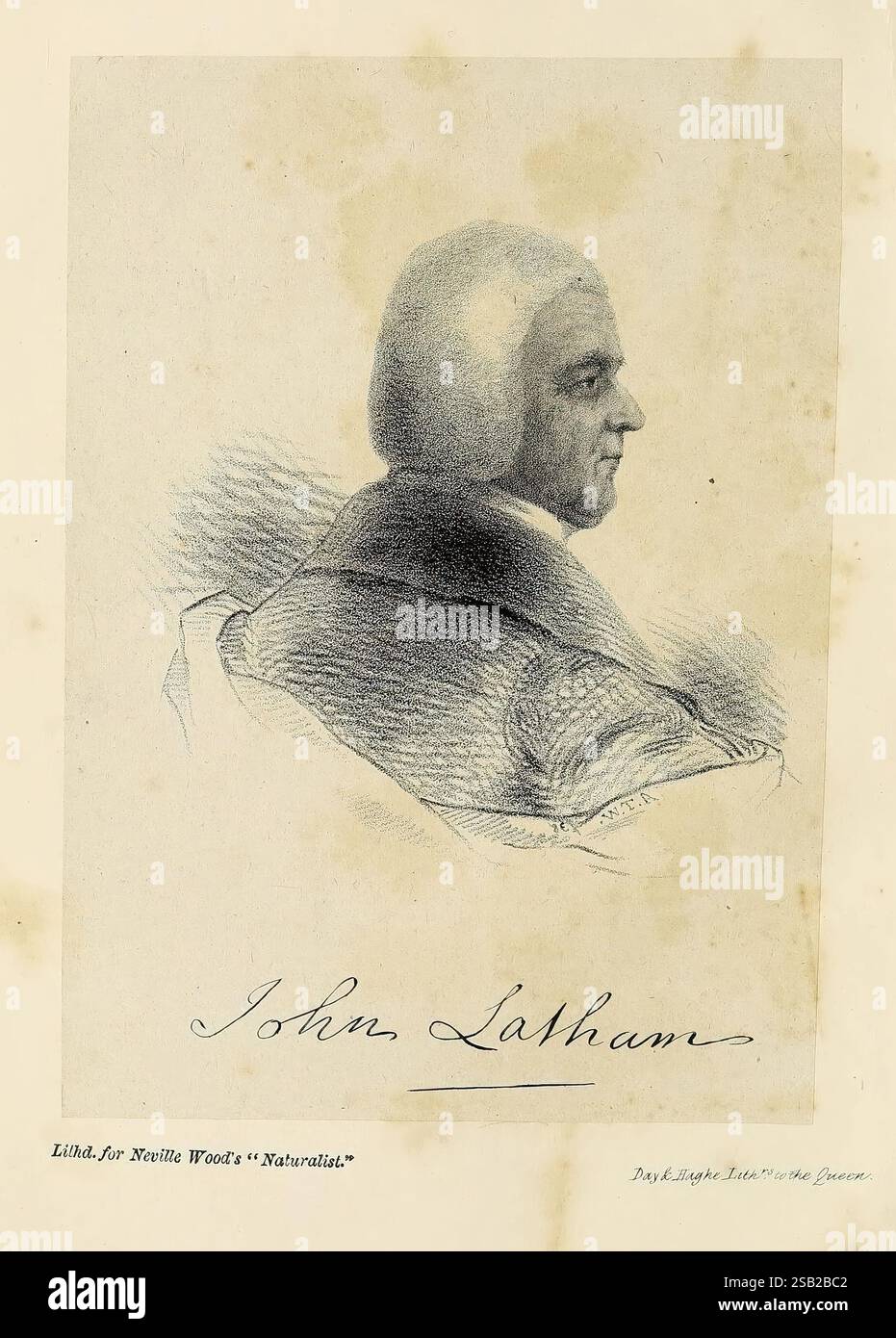 The Naturalist, London, R. Groombridge, 1837-1839, natural history ...