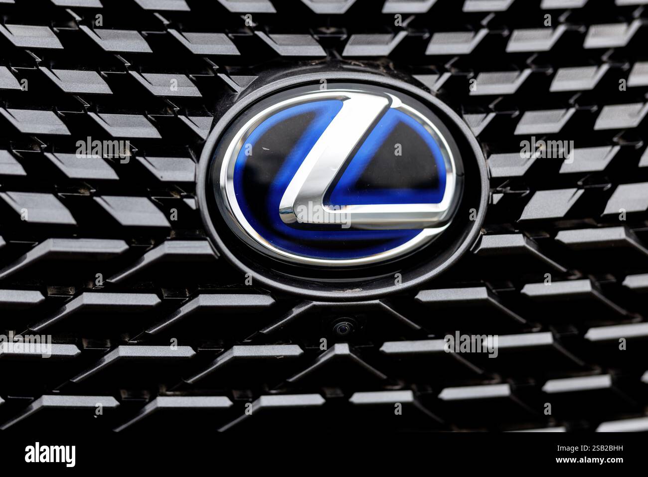 Munich, Germany. 31st Jan, 2025. The Lexus brand logo can be seen on ...