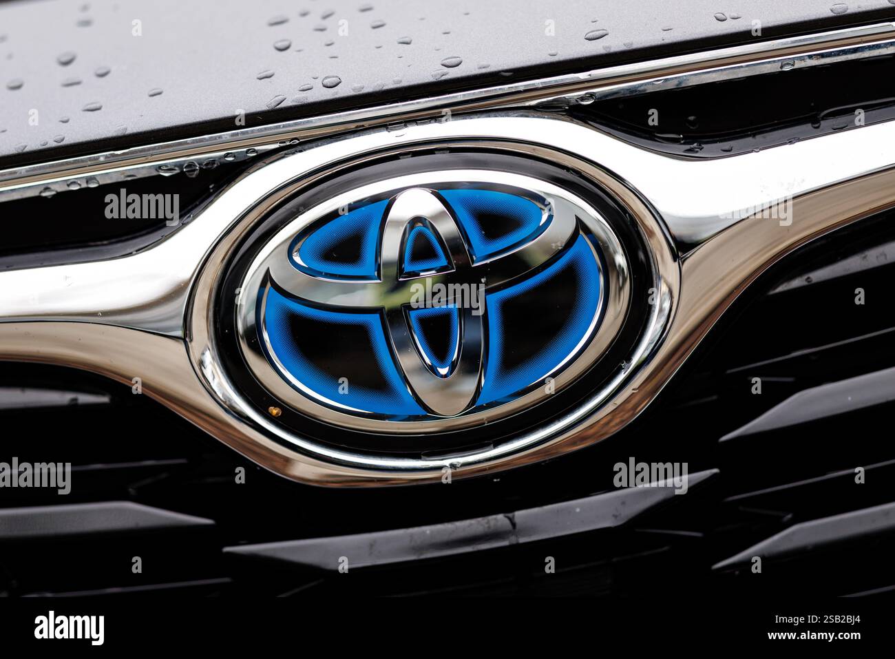 Munich, Germany. 31st Jan, 2025. The ellipses, the brand logo of Toyota ...
