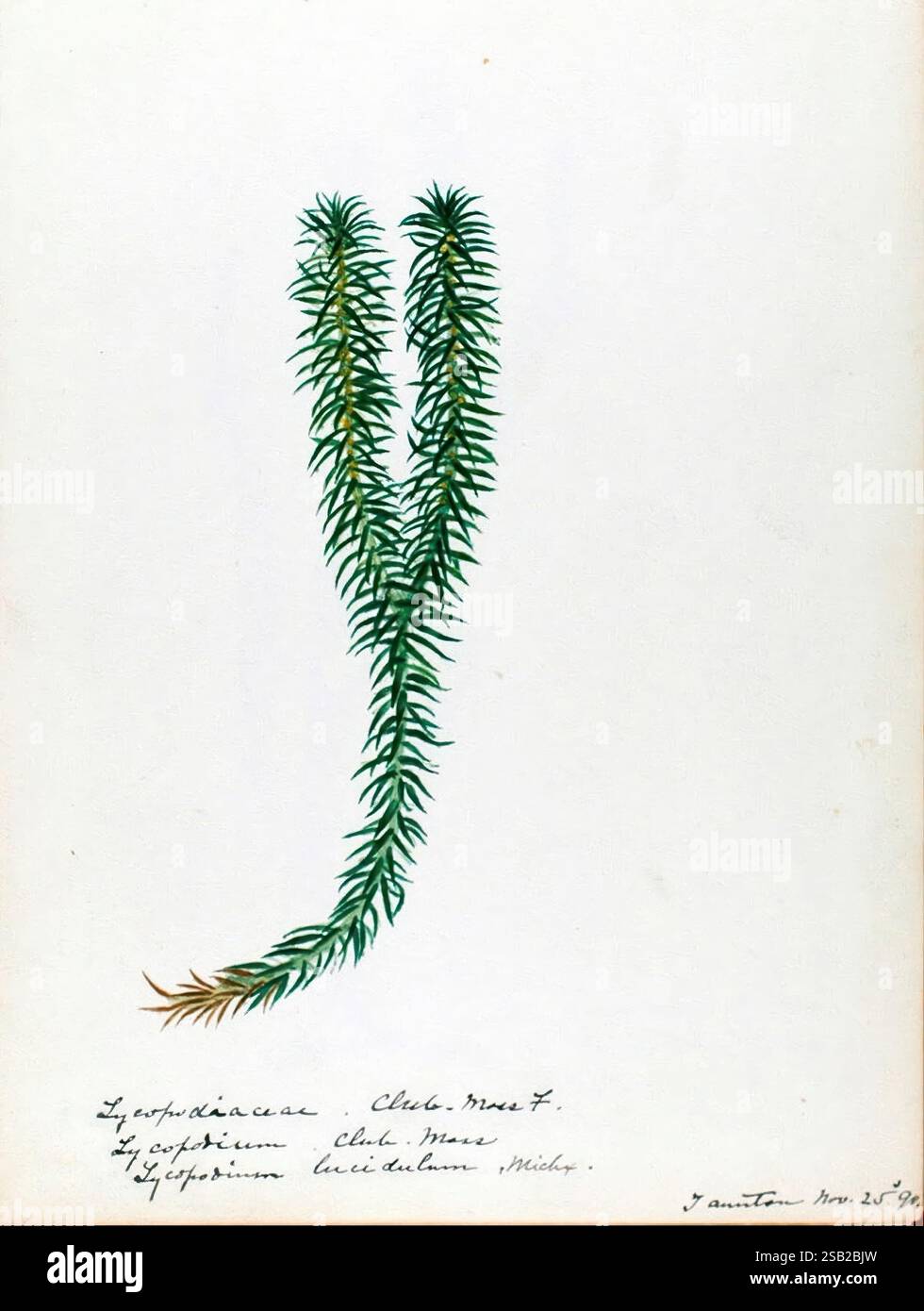 Annotated labels identify hi-res stock photography and images - Alamy