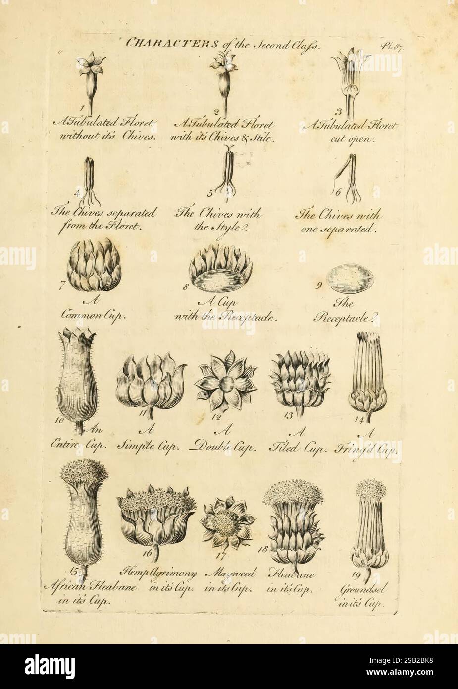 Top section showcases three distinct types hi-res stock photography and ...