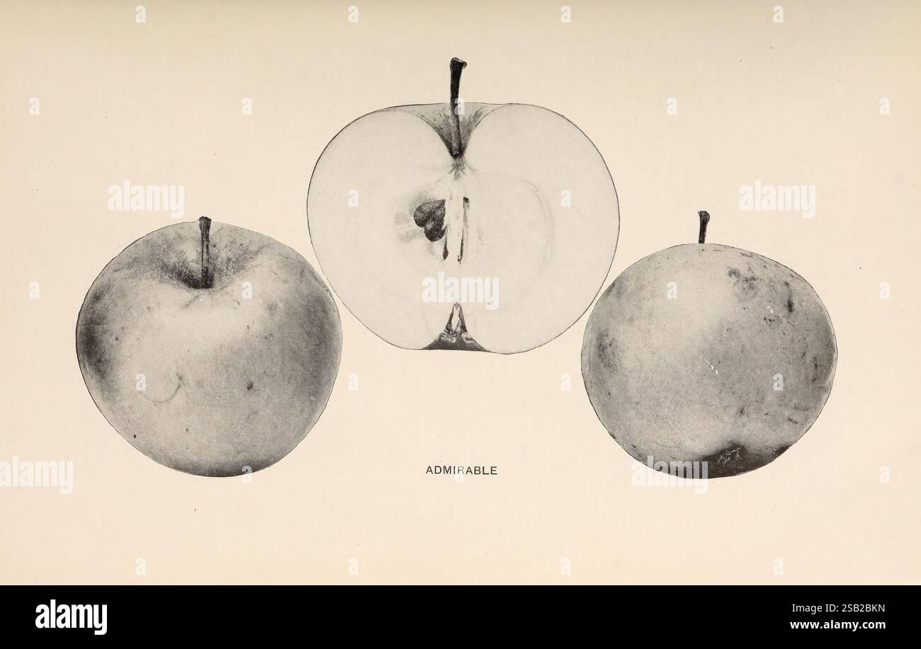 Outer apples maintain hi-res stock photography and images - Alamy