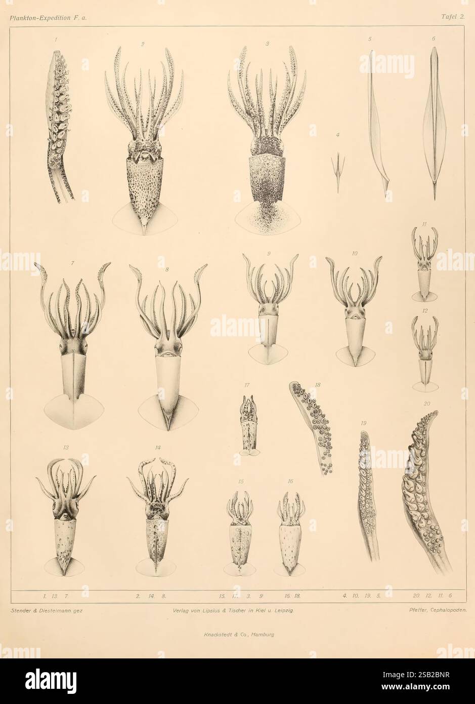 Side provide reference numbers hi-res stock photography and images - Alamy