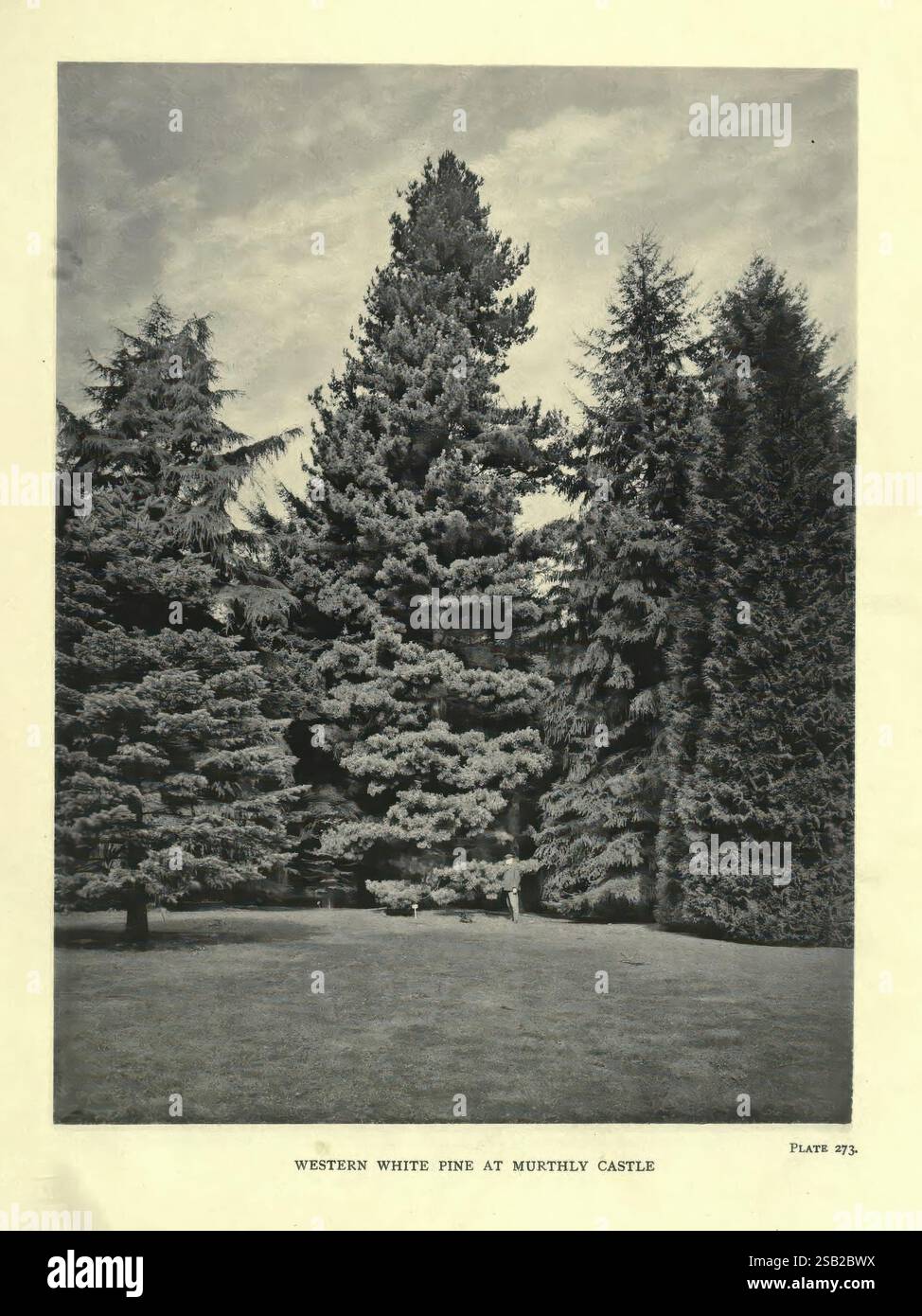 Murtle castle hi-res stock photography and images - Alamy