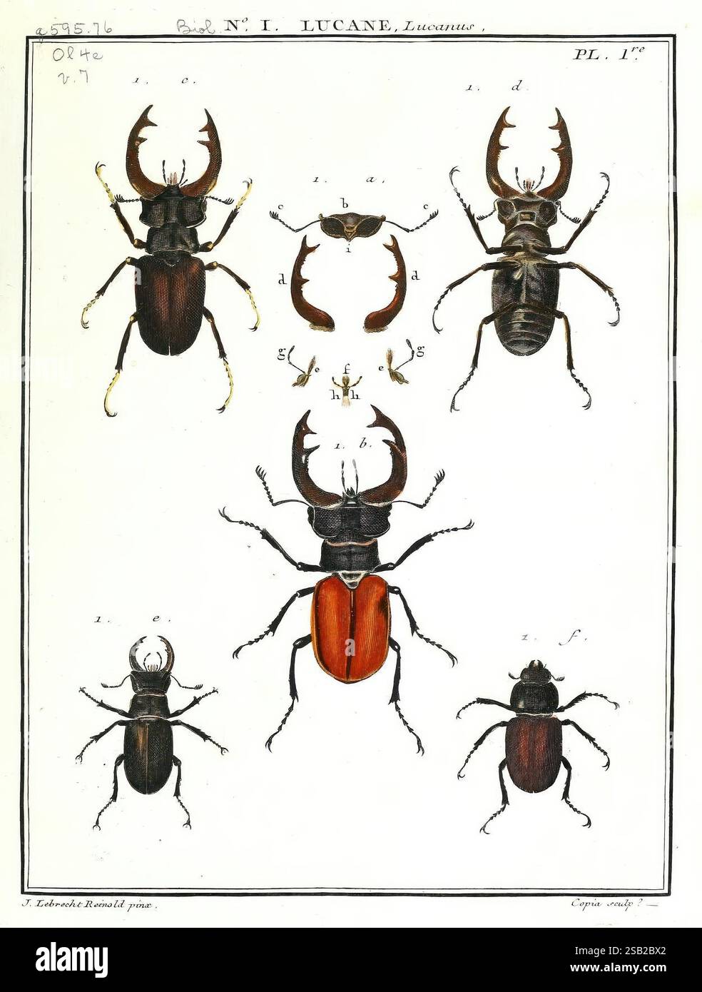 Detailed diagrams pointing hi-res stock photography and images - Alamy