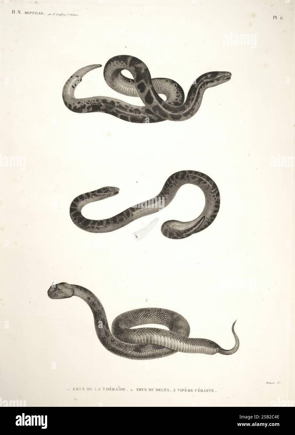 Description de l'Égypte, Paris, Imprimerie impériale, 1809-28, Music ...