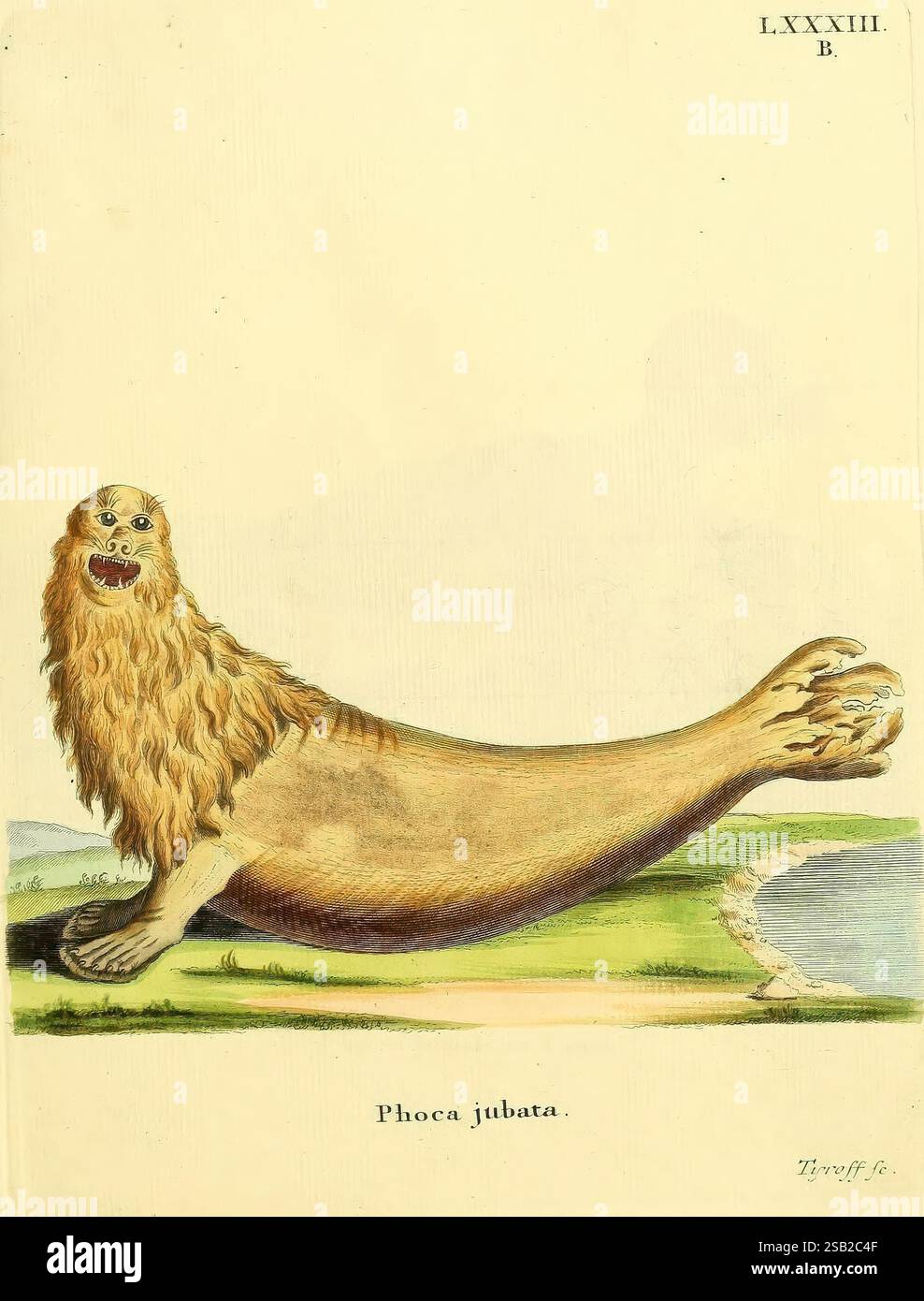 Imaginative qualities hi-res stock photography and images - Alamy