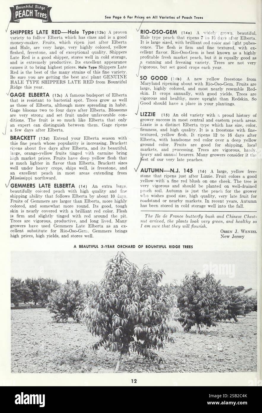 Planting guide, Princess Anne, Md, Bountiful Ridge Nurseries, 1964 ...