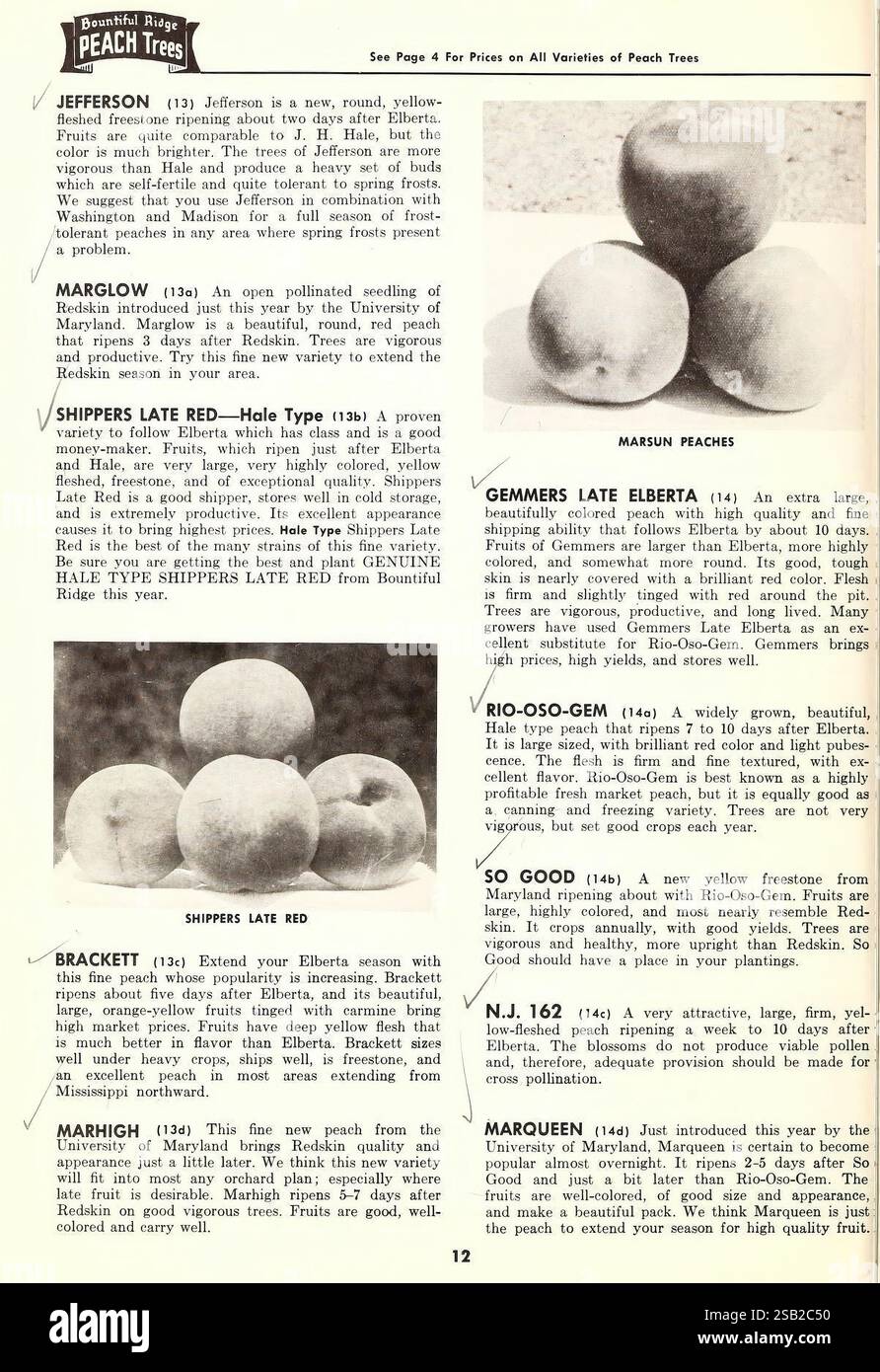 Providing callouts hi-res stock photography and images - Alamy