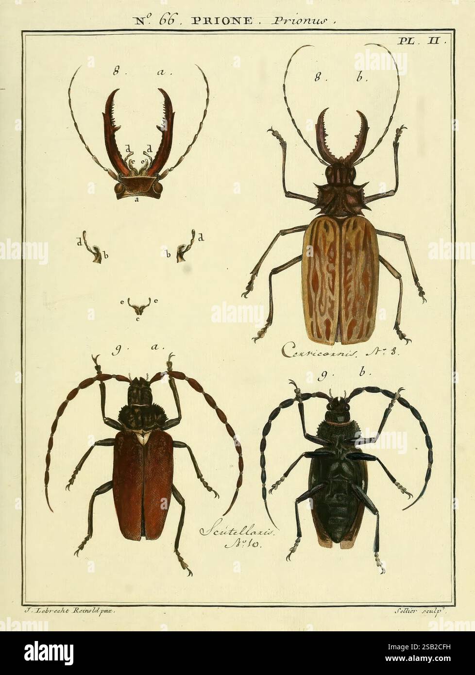 Entomologie, ou, Histoire naturelle des insectes, A Paris, De l ...