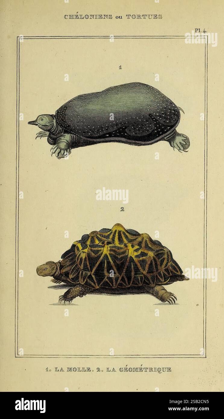 Oeuvres du comte de Lacépède, Paris, P. Duménil, 1836, natural history ...