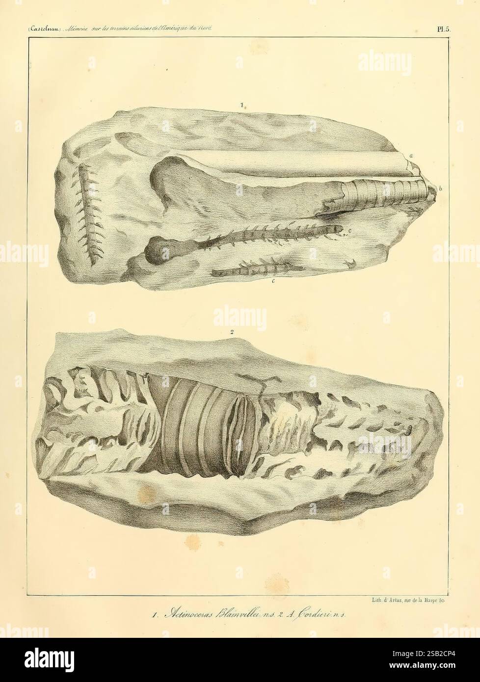 Highlighting concentric layers hi-res stock photography and images - Alamy