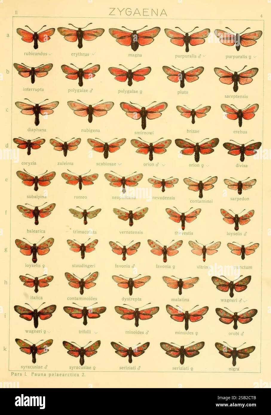 Detailed chart displaying hi-res stock photography and images - Alamy