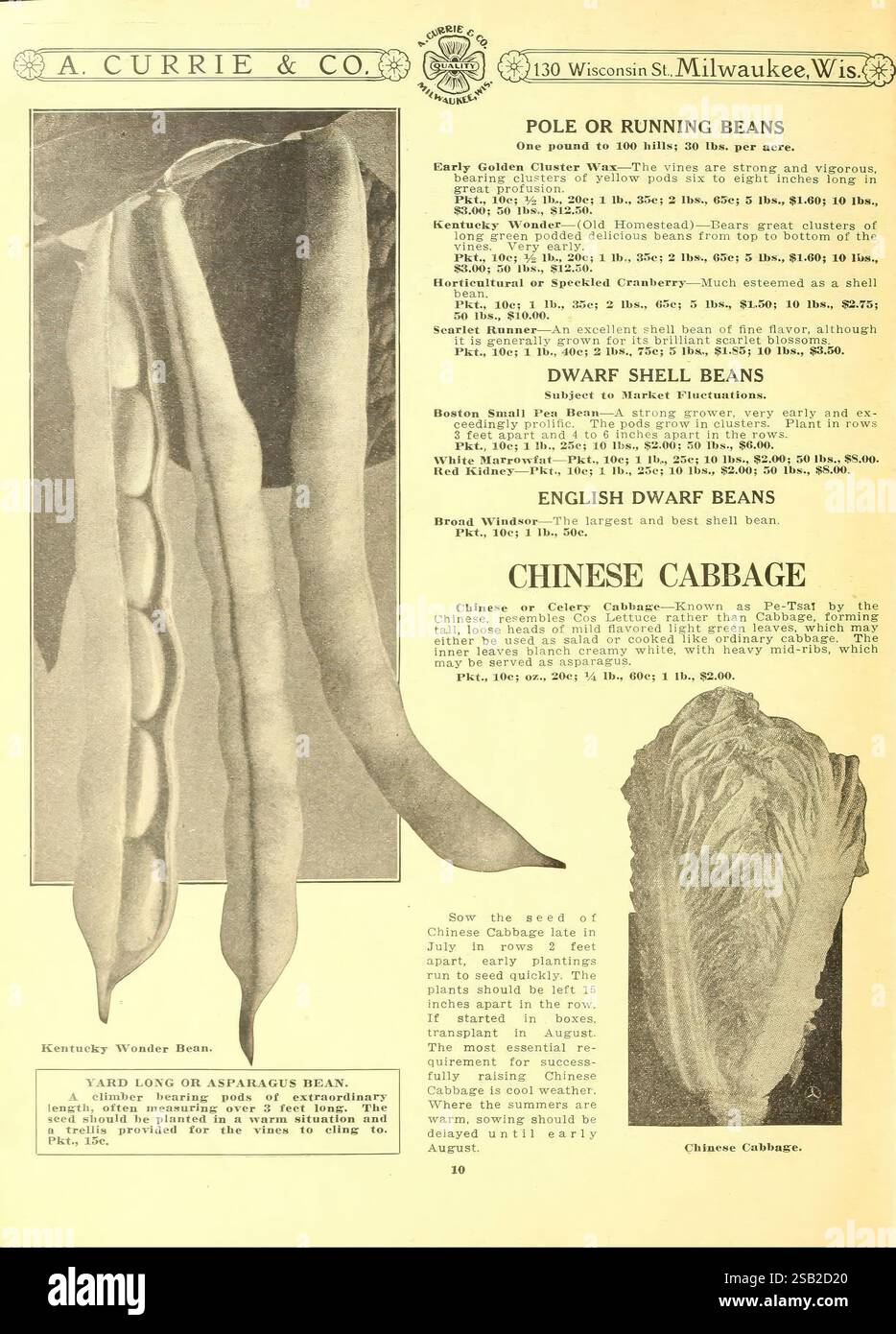 Dwarf shell beans hi-res stock photography and images - Alamy