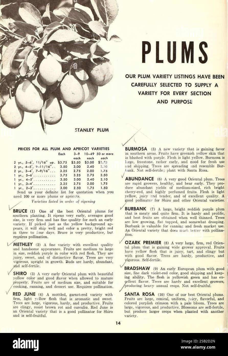 Planting guide, Princess Anne, Md, Bountiful Ridge Nurseries, 1967 ...