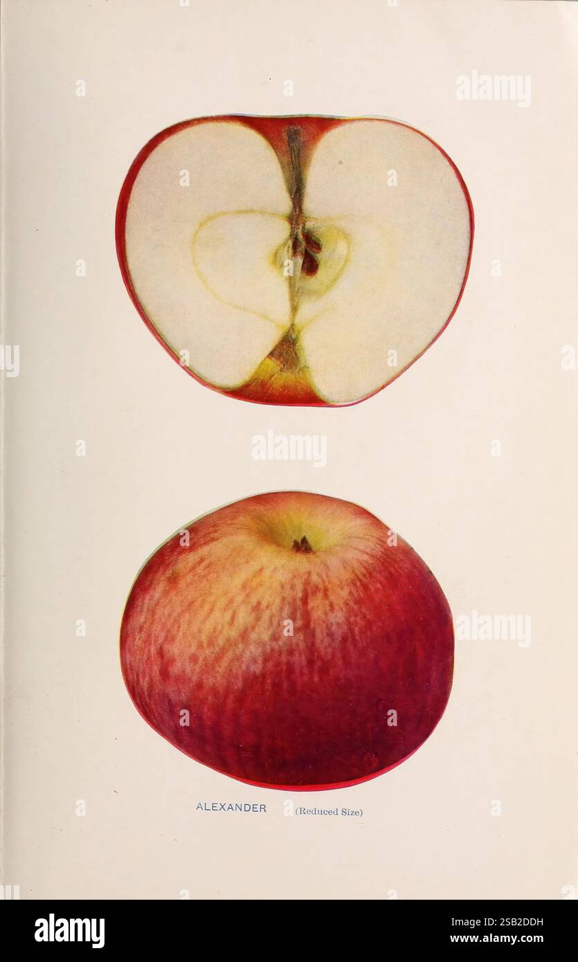 Bottom half displays hi-res stock photography and images - Alamy