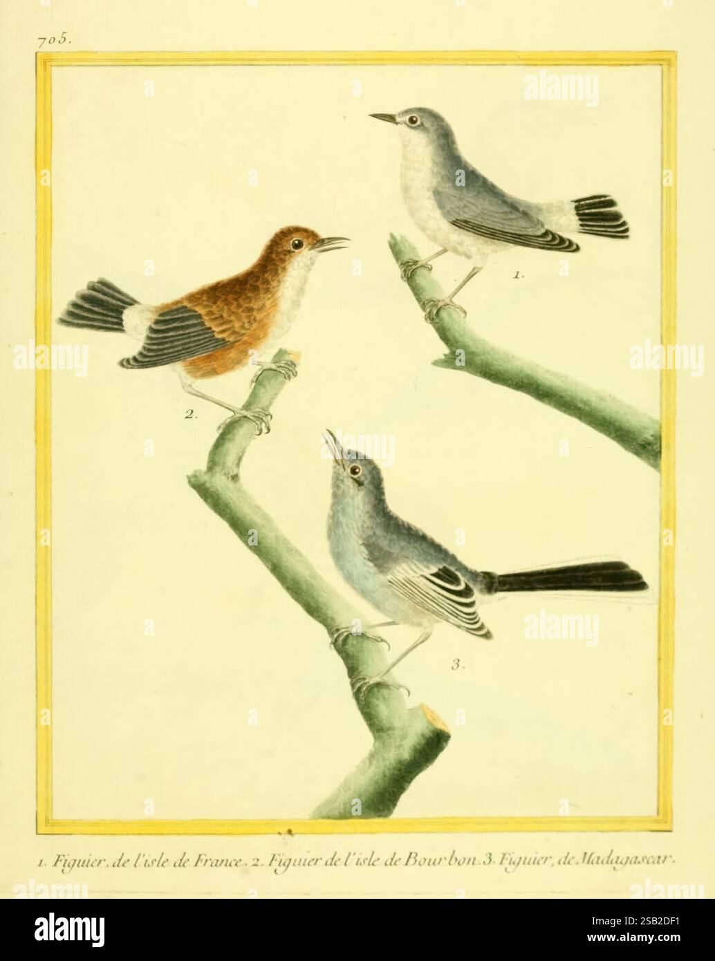 Pale grayish brown color hi-res stock photography and images - Alamy