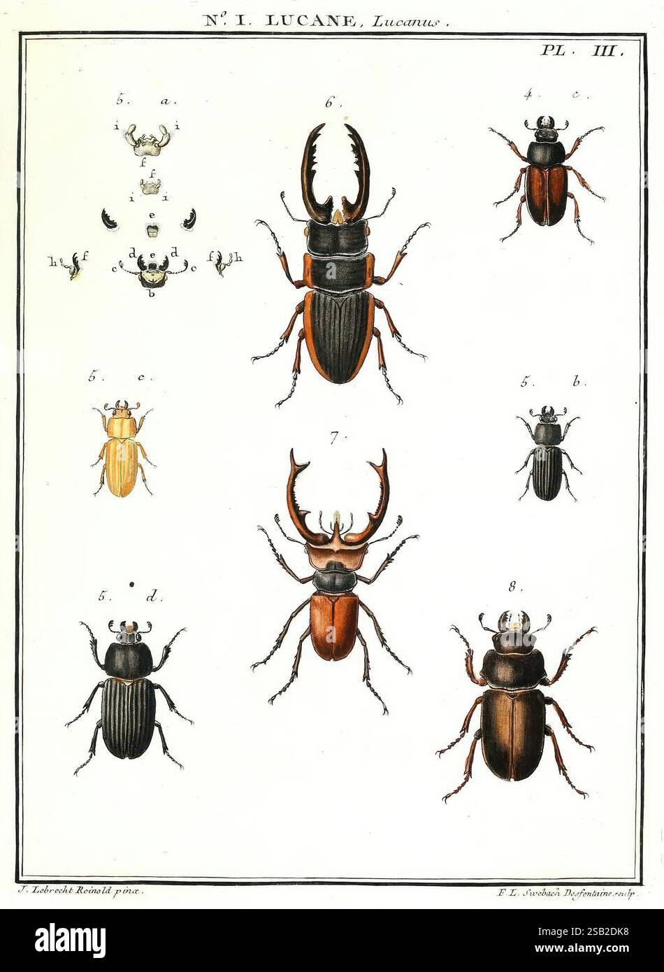 Entomologie, ou, Histoire, naturelle, des, insectes, Paris, Imp ...