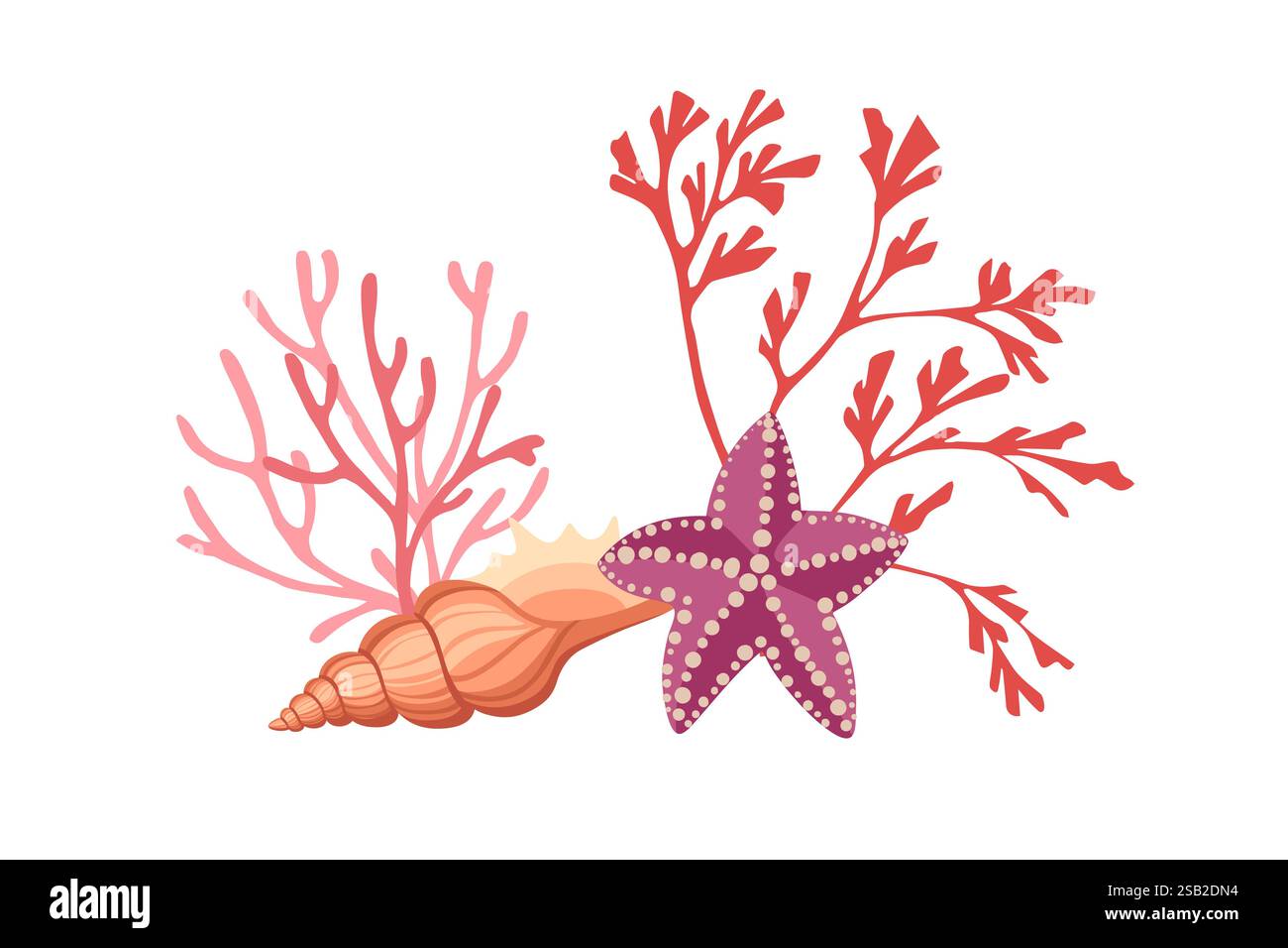 Colorful Marine Life An Illustration Featuring Coral, Shells, and ...