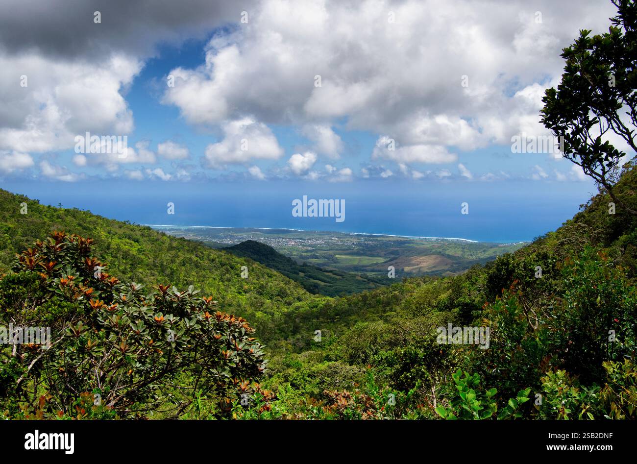 Black river gorge hi-res stock photography and images - Alamy