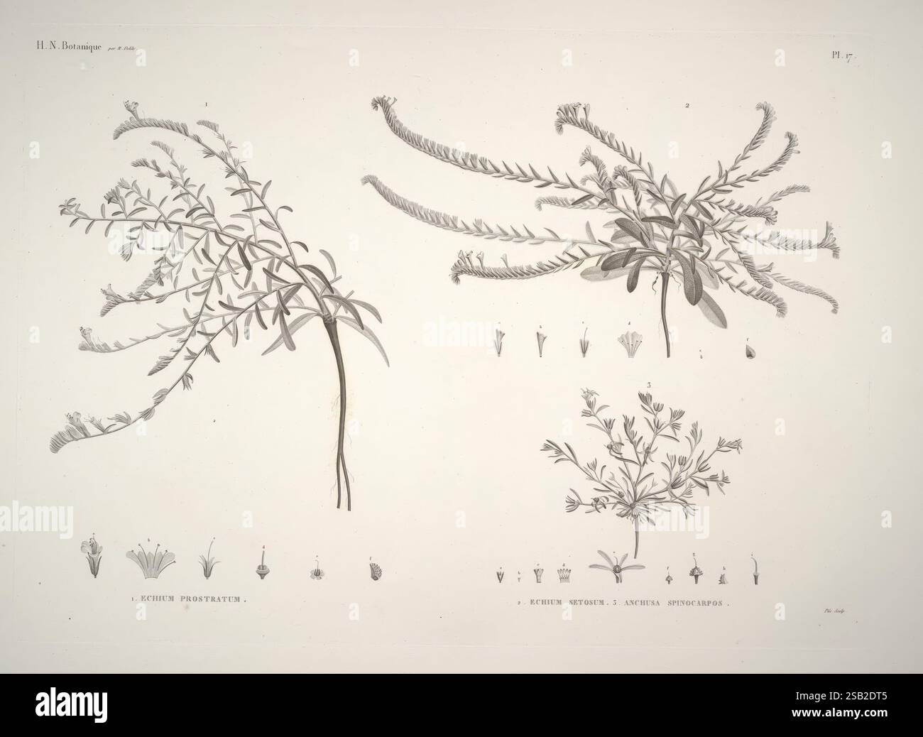 Smaller depictions of parts hi-res stock photography and images - Alamy