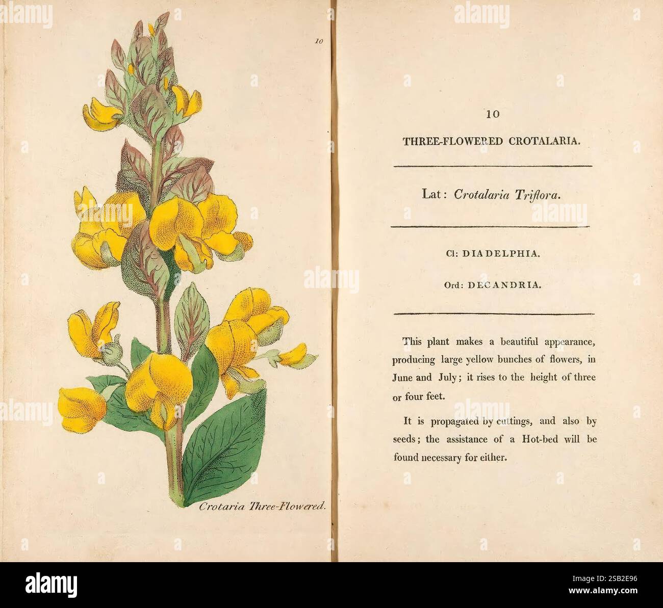 Prominent central image showcases hi-res stock photography and images - Alamy