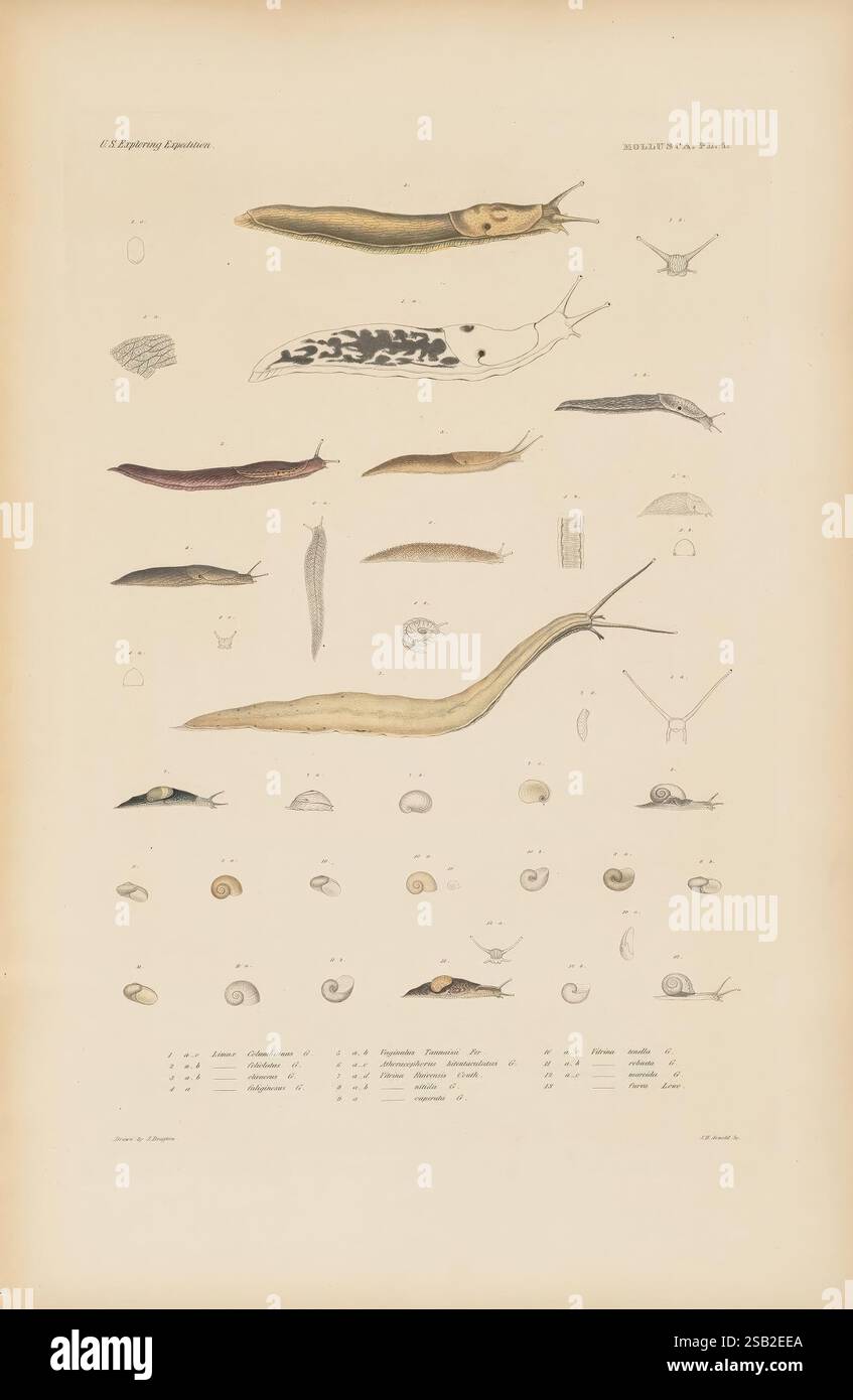 Numbered key lists hi-res stock photography and images - Alamy