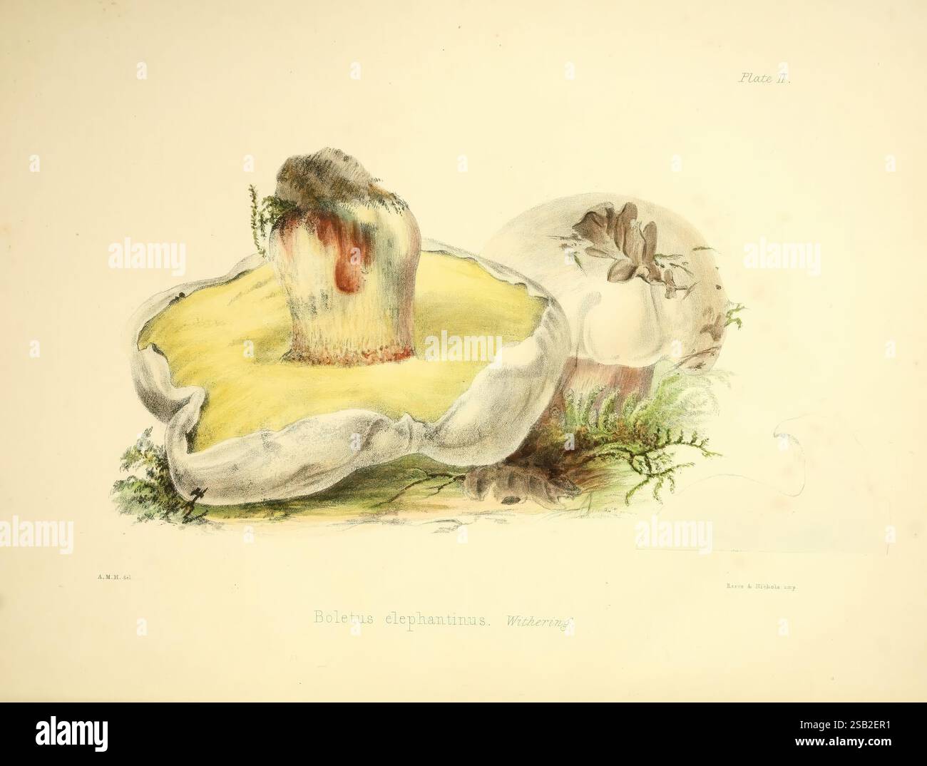 Science anna maria hussey hi-res stock photography and images - Alamy