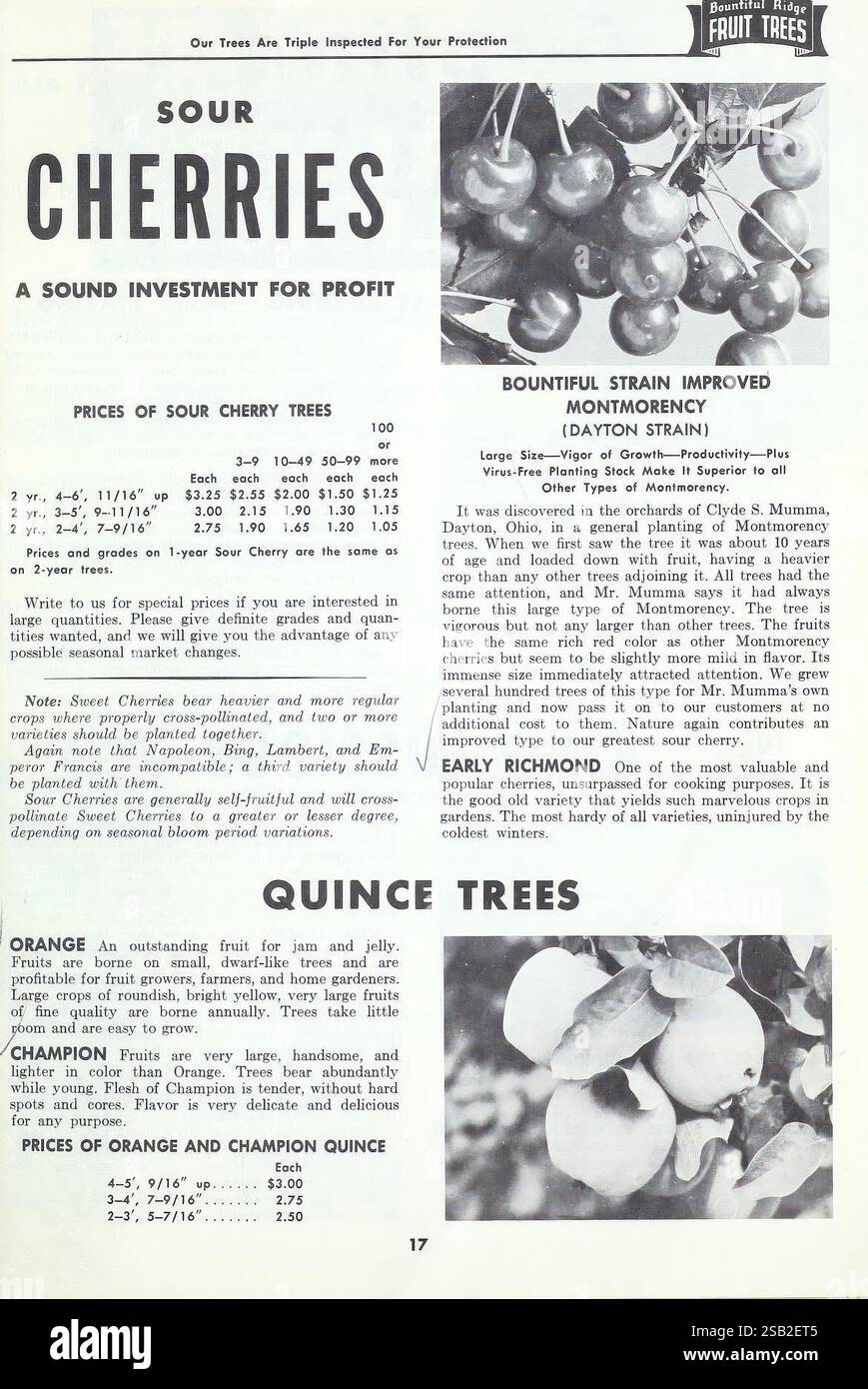 Planting guide princess anne md hi-res stock photography and images - Alamy