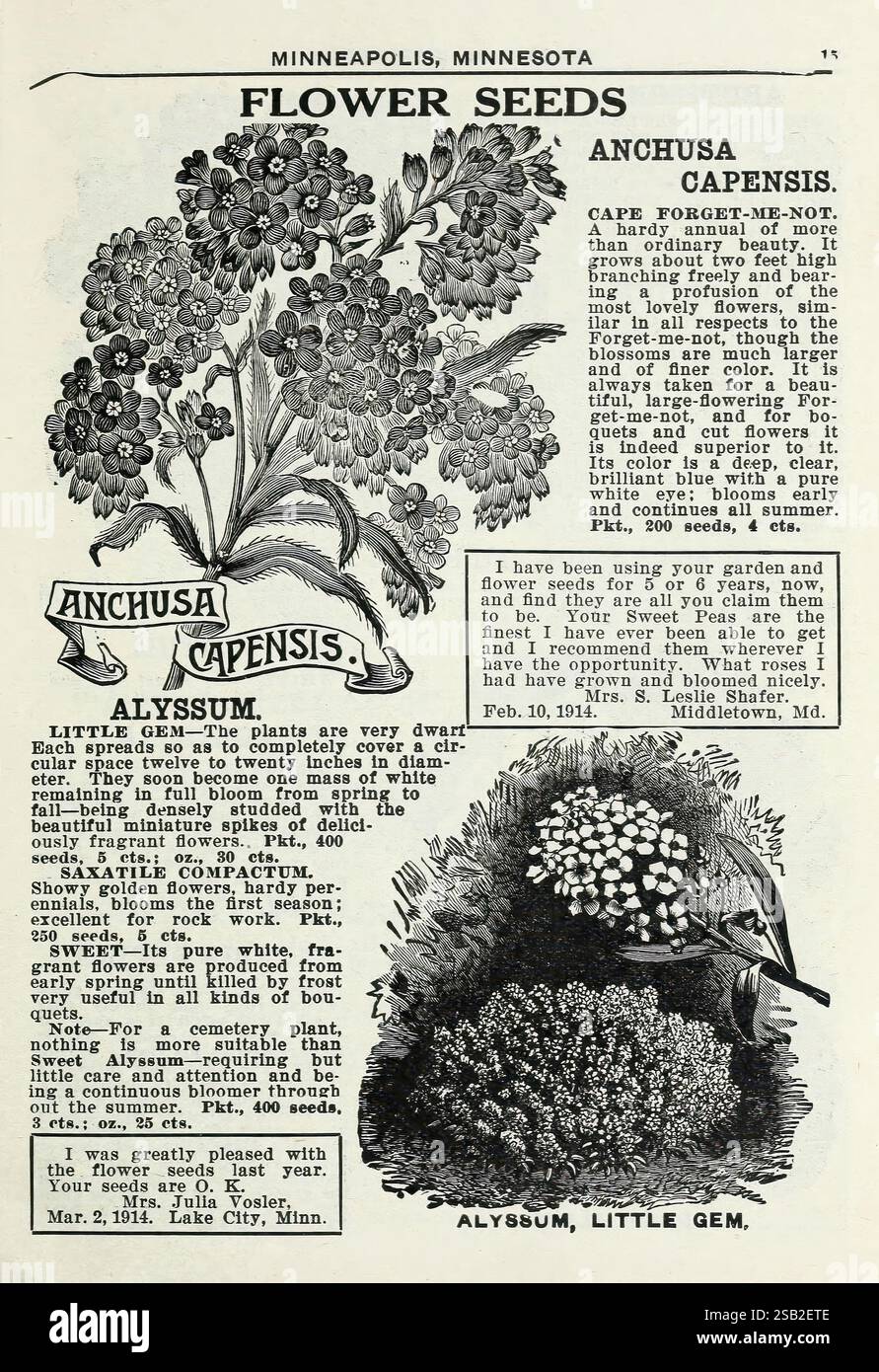 Lippincott 1915 flowers hi-res stock photography and images - Alamy
