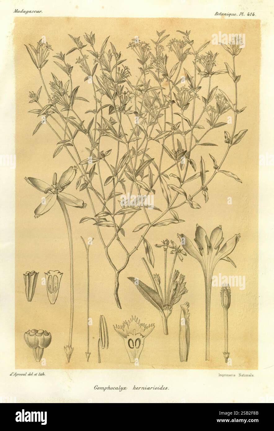 Histoire physique, naturelle, et politique de Madagascar, Paris, Impr ...