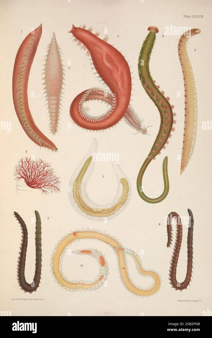 Traditional straight forms hi-res stock photography and images - Alamy