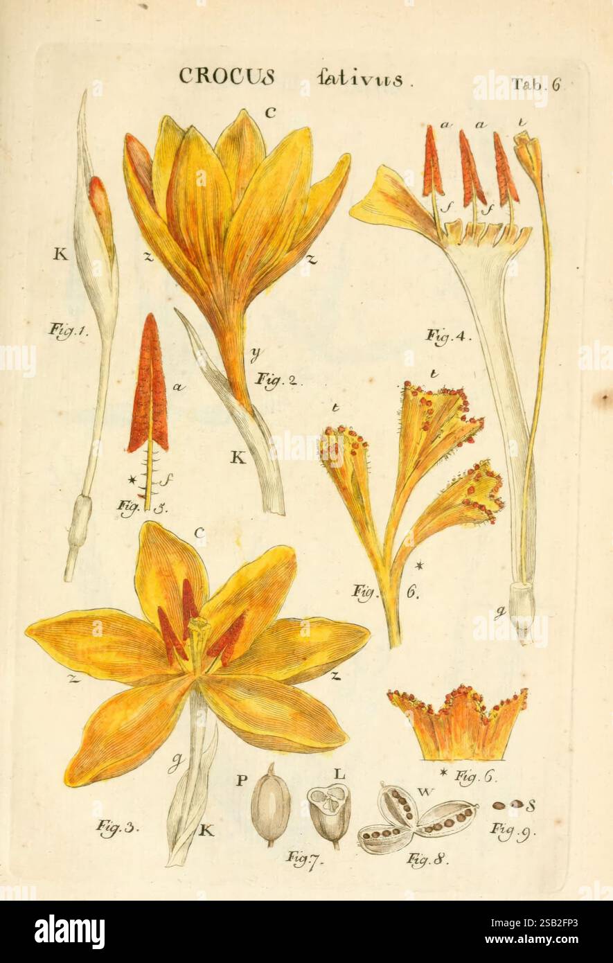 Illustratio systematis sexualis Linnaeani Francofurti ad Moenum ...