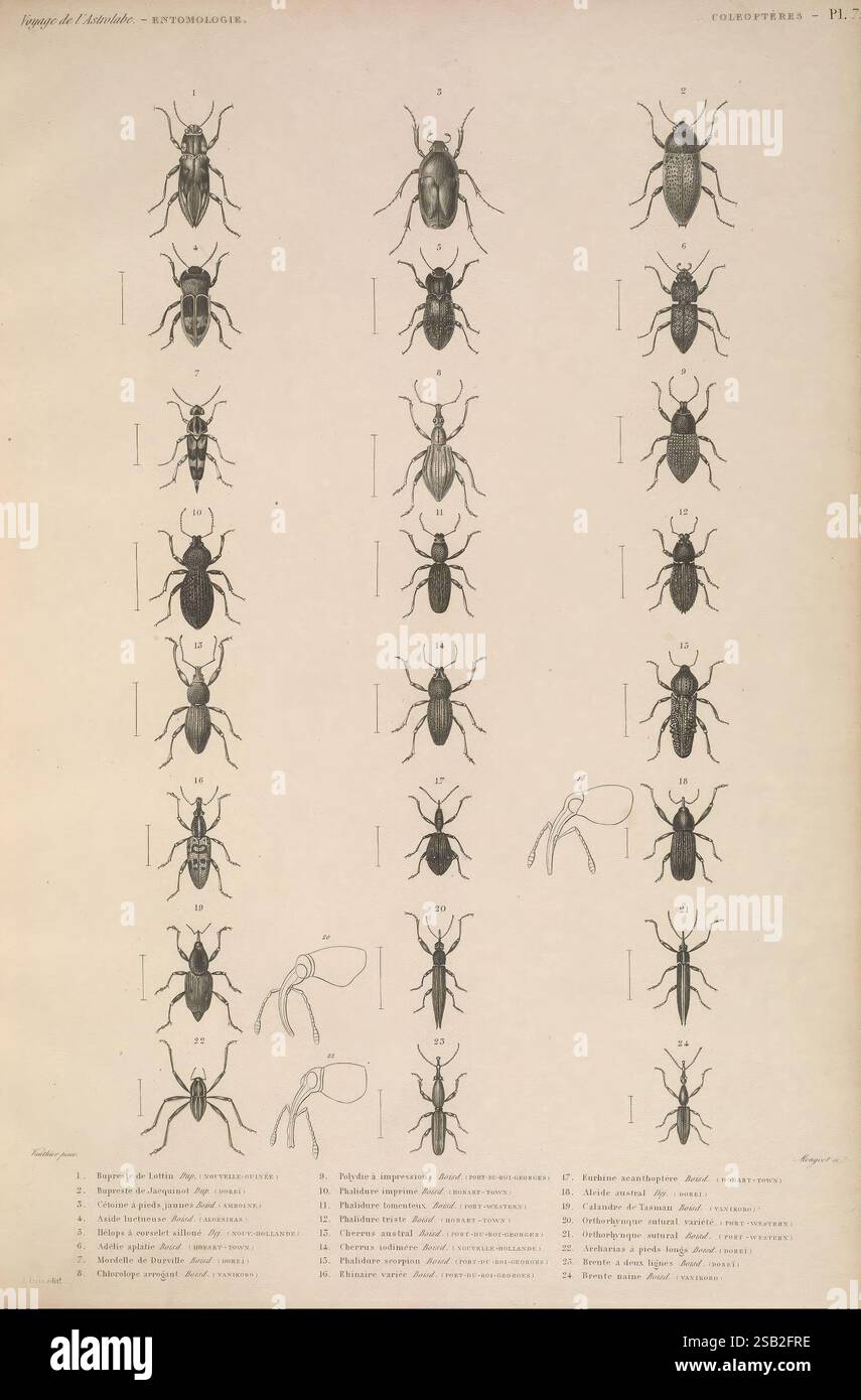 Arrangement reveals different body shapes hi-res stock photography and ...
