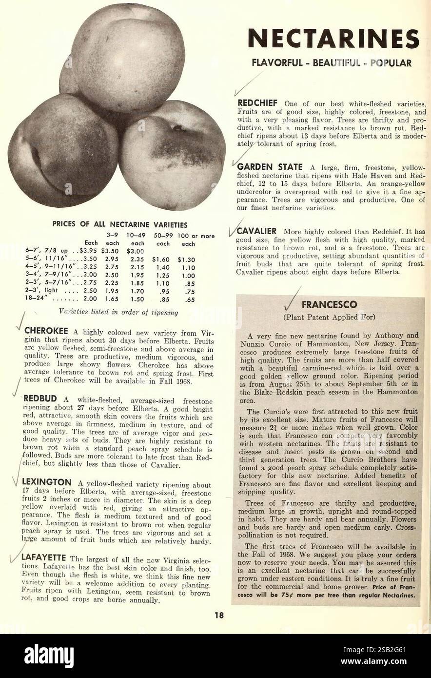 Various nectarine varieties hi-res stock photography and images - Alamy