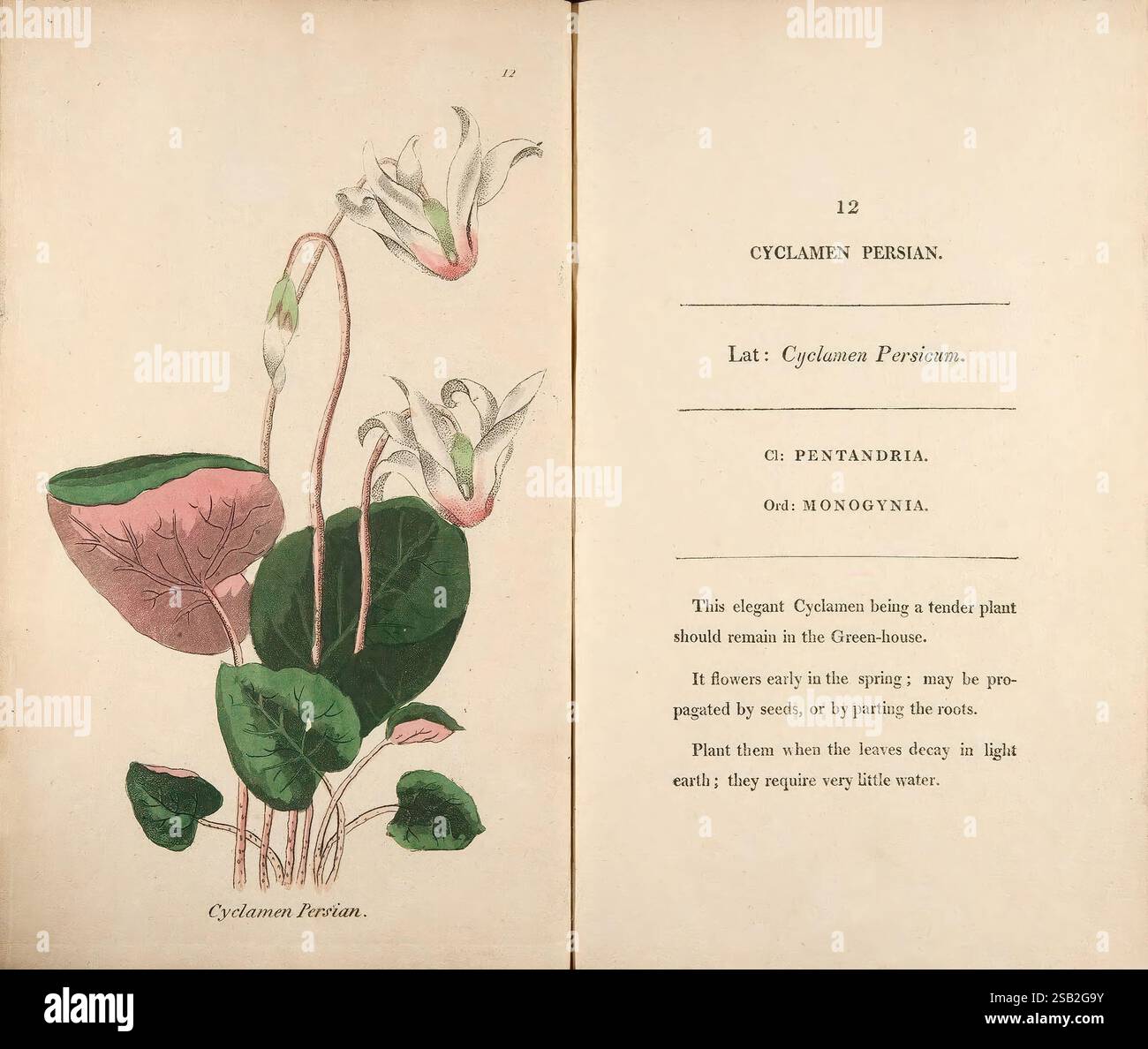 Henrietta maria moriarty hi-res stock photography and images - Alamy