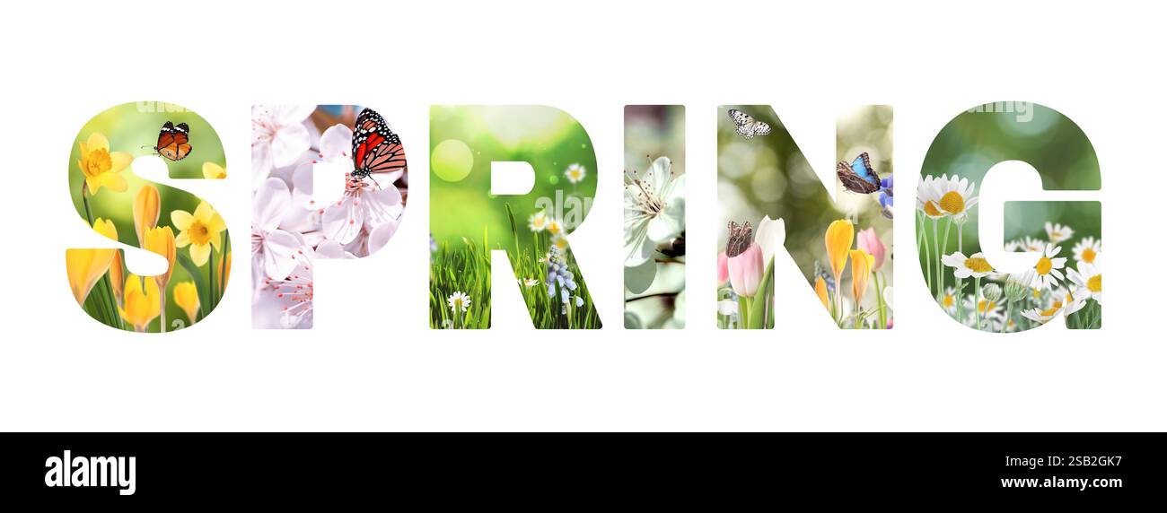 Spring word with seasonal plants inside letters on white background ...