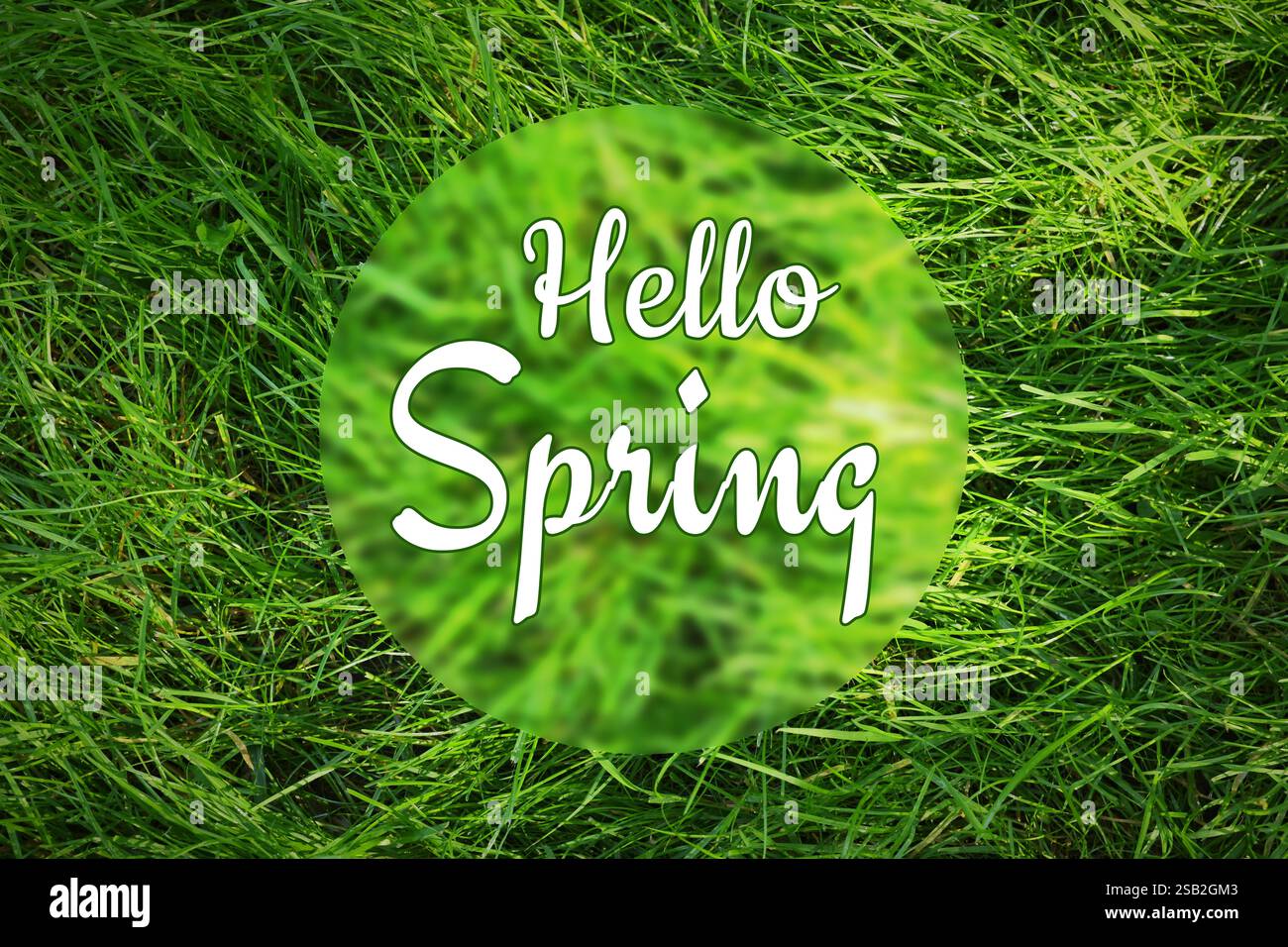 Hello Spring. Vibrant lush green grass, top view Stock Photo - Alamy