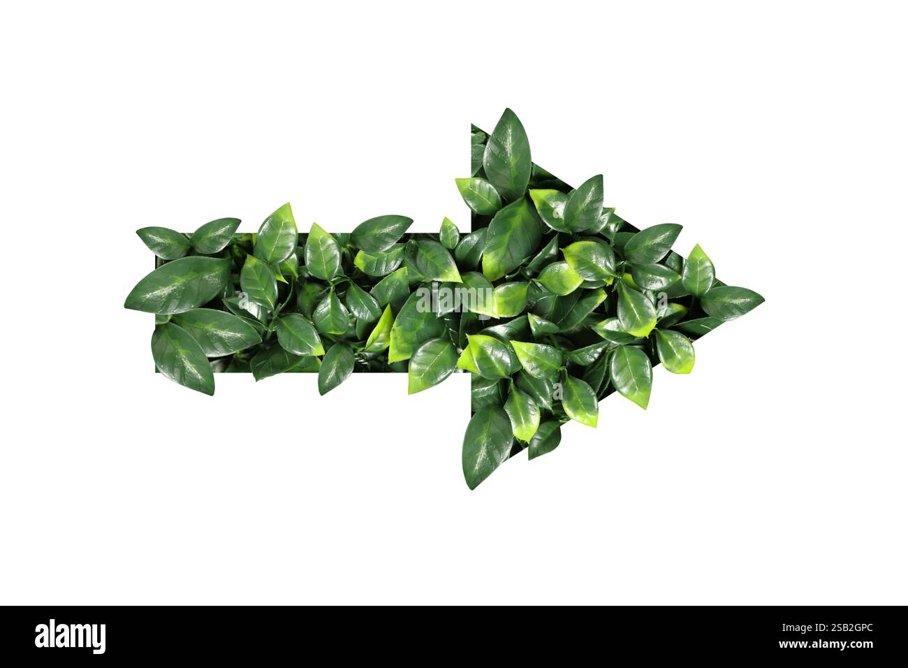 Greenery line art leaves Cut Out Stock Images & Pictures - Alamy
