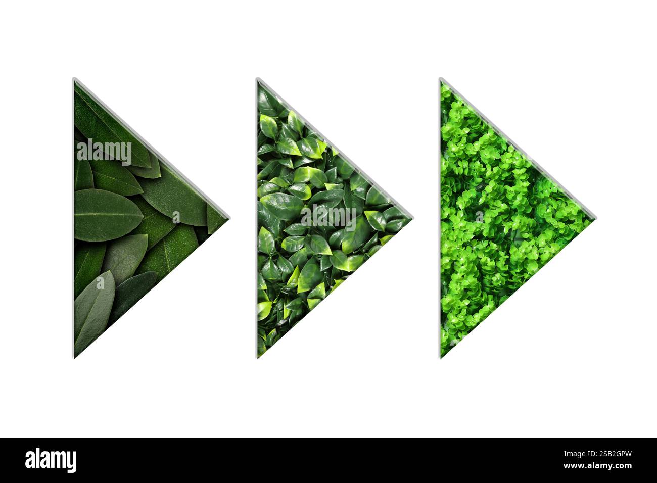 Arrows with green leaves of different plants inside isolated on white ...