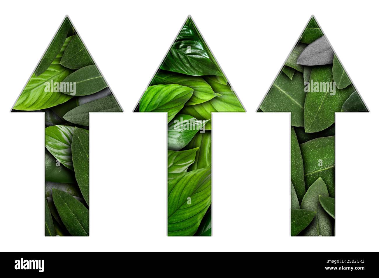 Arrows with green leaves inside isolated on white Stock Photo - Alamy