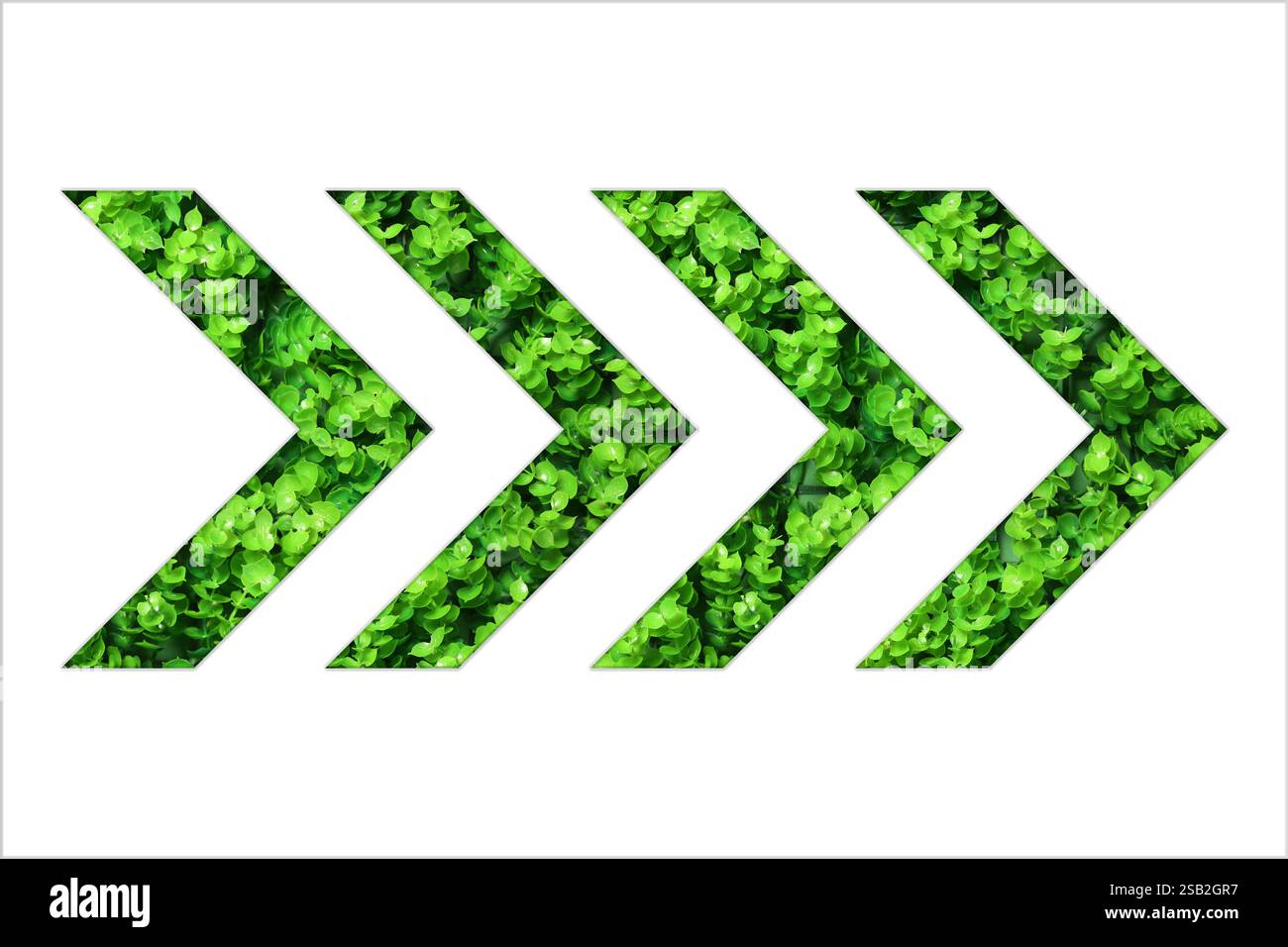 Arrow with green leaves inside isolated on white Stock Photo - Alamy