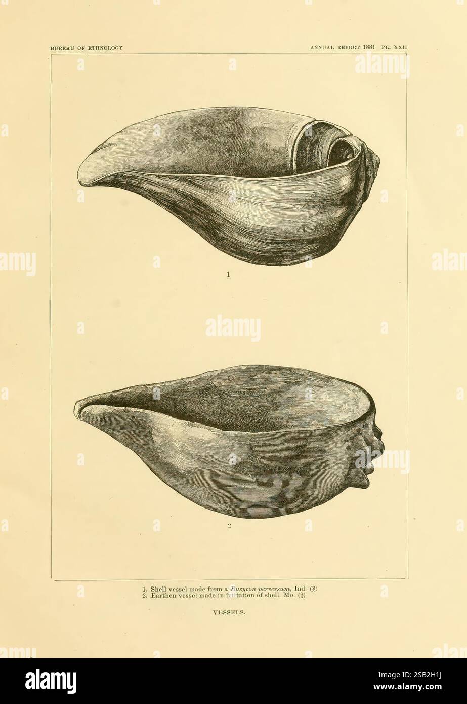 Ancient shallow marine environment hi-res stock photography and images ...