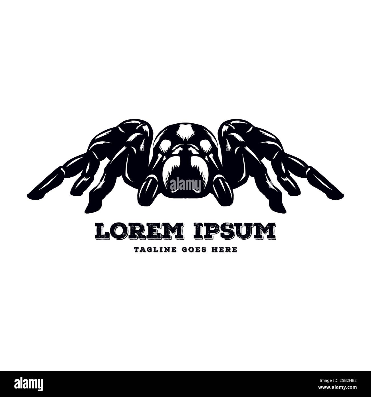 Vintage Retro Black Spider Widow Tarantula Illustration Logo Design ...