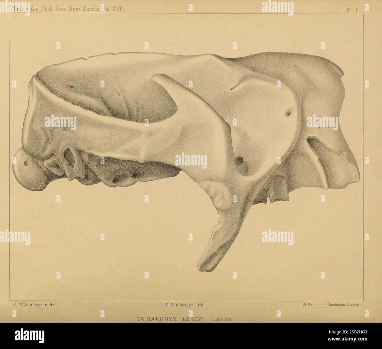 Transactions, of, the, American, Philosophical, Society, Philadelphia ...