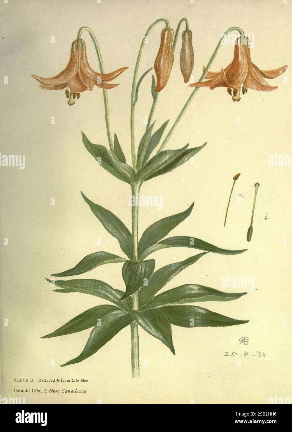 Annotated measurements hi-res stock photography and images - Alamy